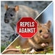 Rodent Stopper 32oz Ready to Use Trigger, Mice and Rat Repellent ...