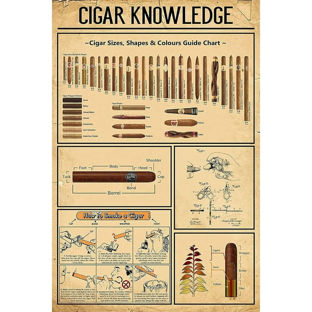 Cigar Knowledge Metal Tin Sign Cigar Size Shape Color Guide Diagram ...