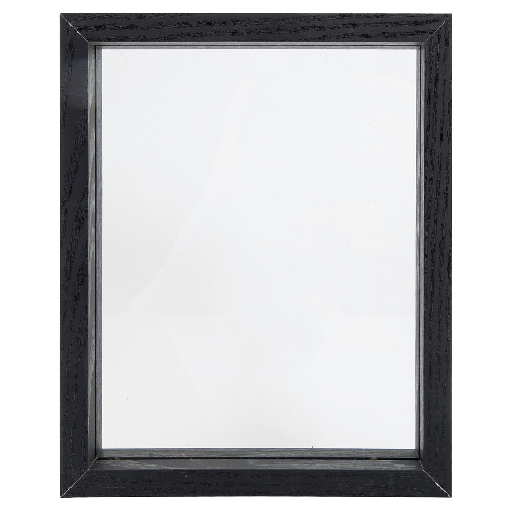 Specimen Display Box Butterflies Specimen Plants Display Frame Specimen ...