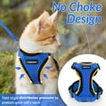 rabbitgoo Cat Harness and Leash for Walking, Escape Proof Soft ...