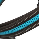 Blue Frog 1X Track N Guard GPS Message Ready & Built-In I.D. Tag Dog ...