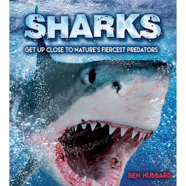 Y: Sharks : Get Up Close to Nature's Fiercest Predators (Paperback ...