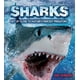 Y: Sharks : Get Up Close to Nature's Fiercest Predators (Paperback ...
