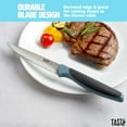 Tasty 4 Piece Stainless Steel Steak Knife Set, Serrated Edge, Blue ...