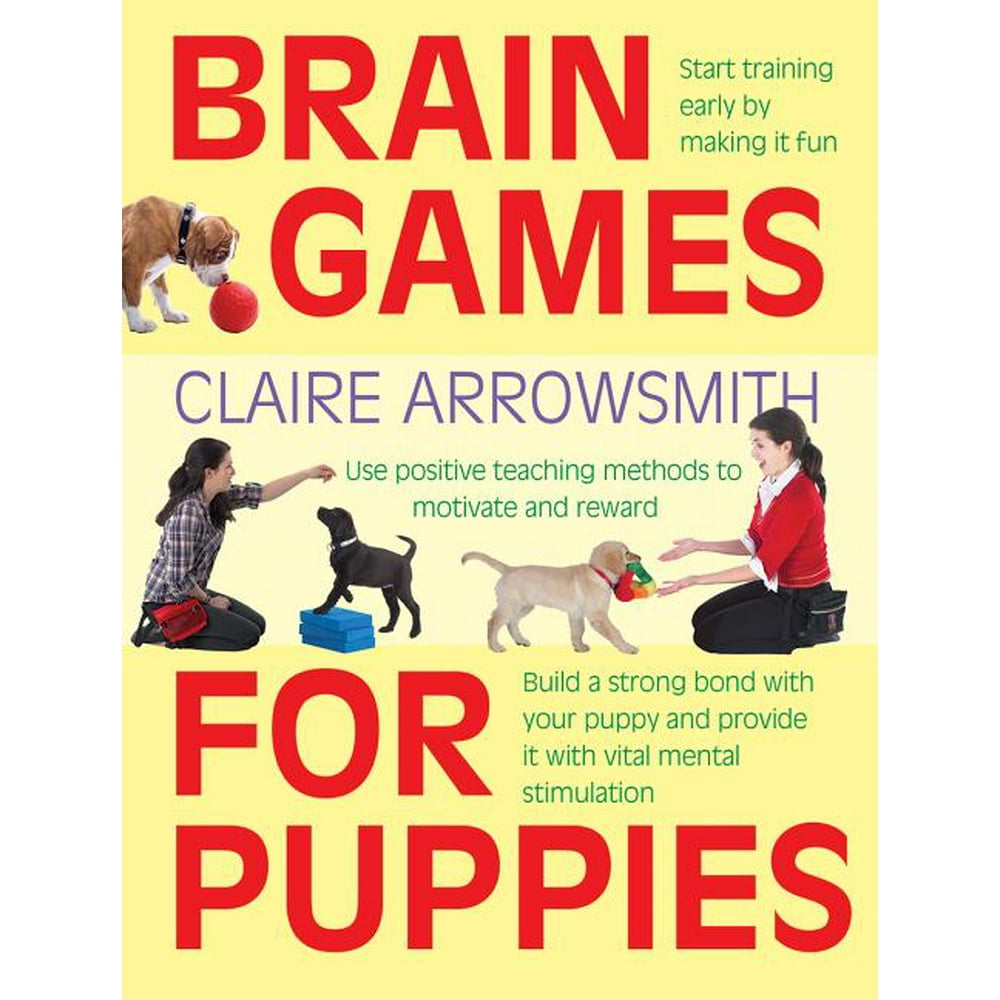 Brain Games For Puppies Walmart Walmart brain-games-for-puppies-walmart-walmart