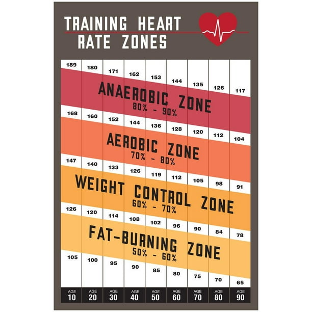 Workout Home Gym Training Heart Rate Zones Gym Fitness Cardio Athletic ...