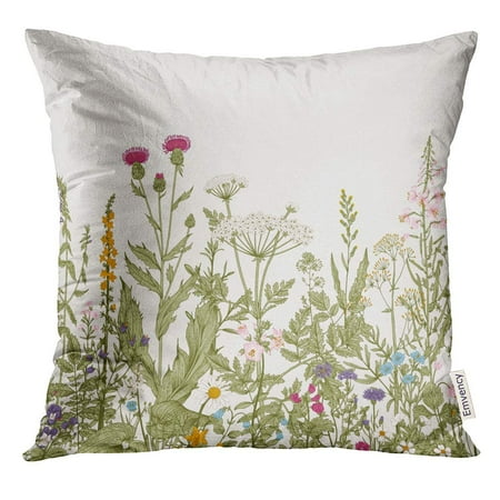 EREHome Vintage Floral Border Herbs and Wild Flowers Botanical ...