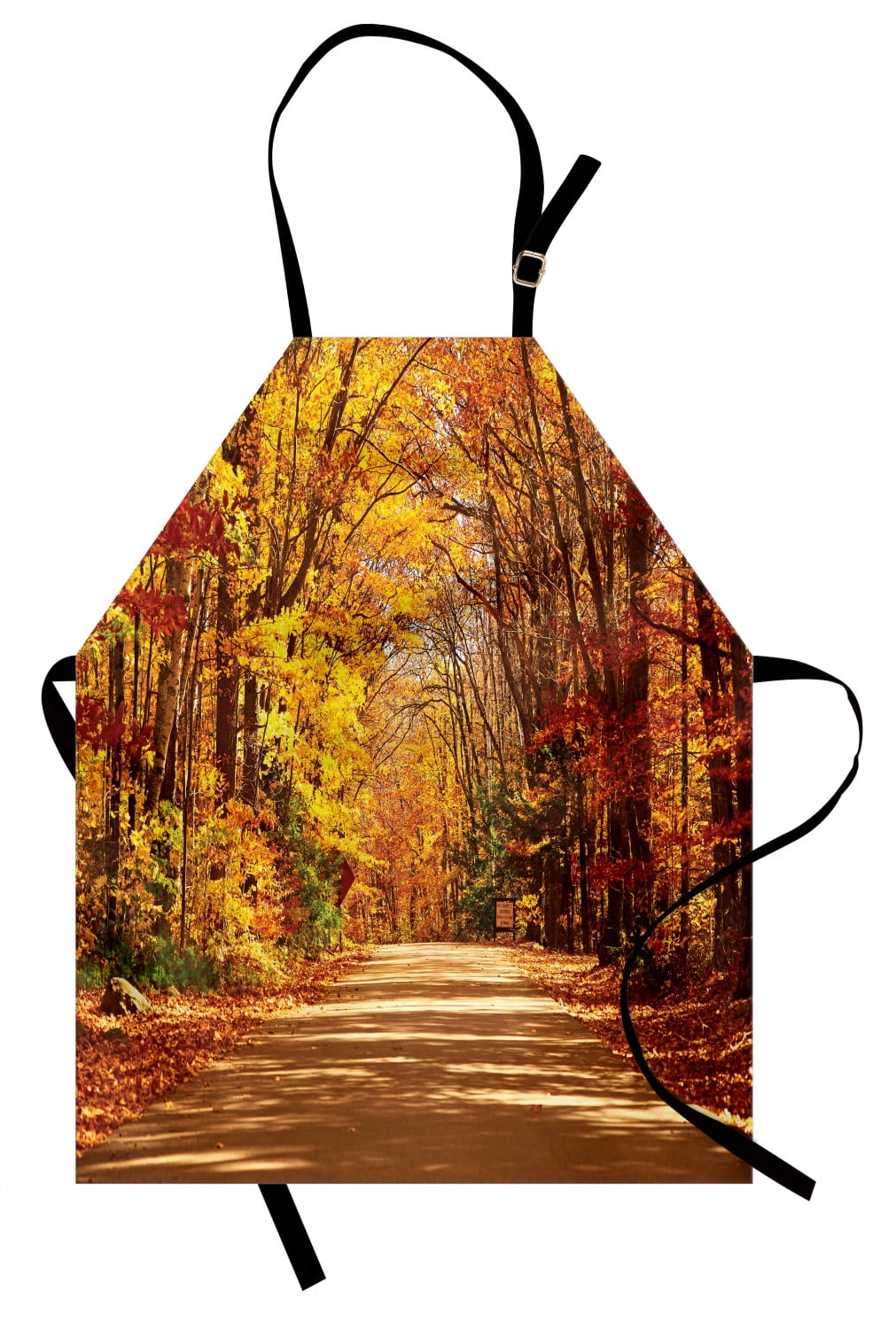 Fall Apron Scenic View Outdoors Empty Roadway Surrounded with Deciduous ...
