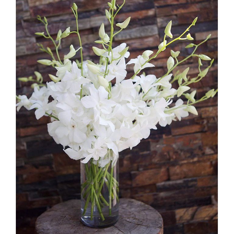 White Dendrobium Orchids Bouquet