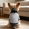 Apparel Stylish And Cozy Outfits For And Cats Breathable Soft Everyday ...
