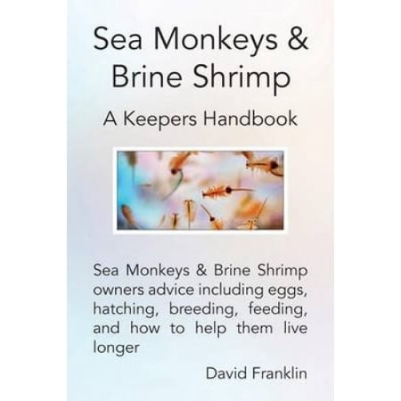 Sea Monkeys & Brine Shrimp : Sea Monkeys & Brine Shrimp Owners Advice ...