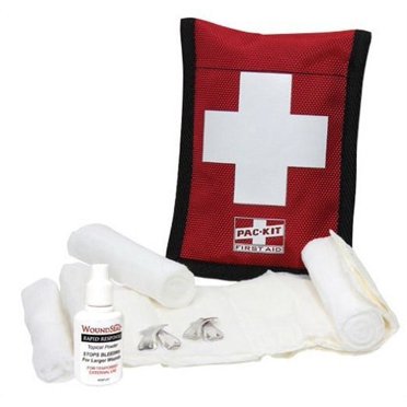 Pac-Kit 50 Person ANSI First Aid Kits, Weatherproof Plastic - Walmart.com