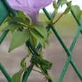 ZULAR 2026 New Plastic Plant Clips for Climbing Plants - Gentle ...