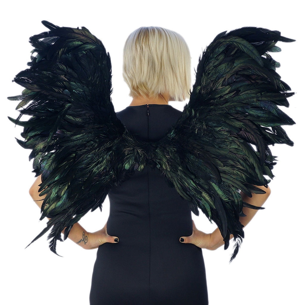 Zucker Feather Products Medium Black Bird Feather Wings - 30" x 28 ...