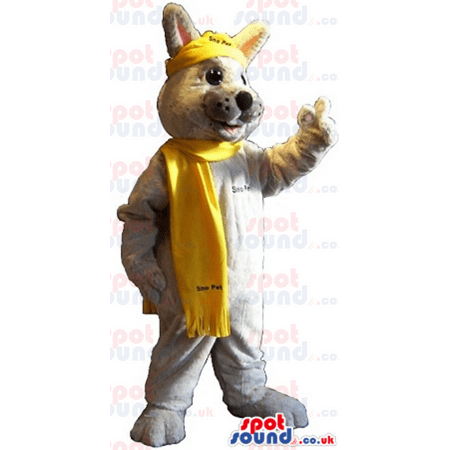 Cool Grey Fox SPOTSOUND Mascot Wearing A Yellow Scarf With Text ...