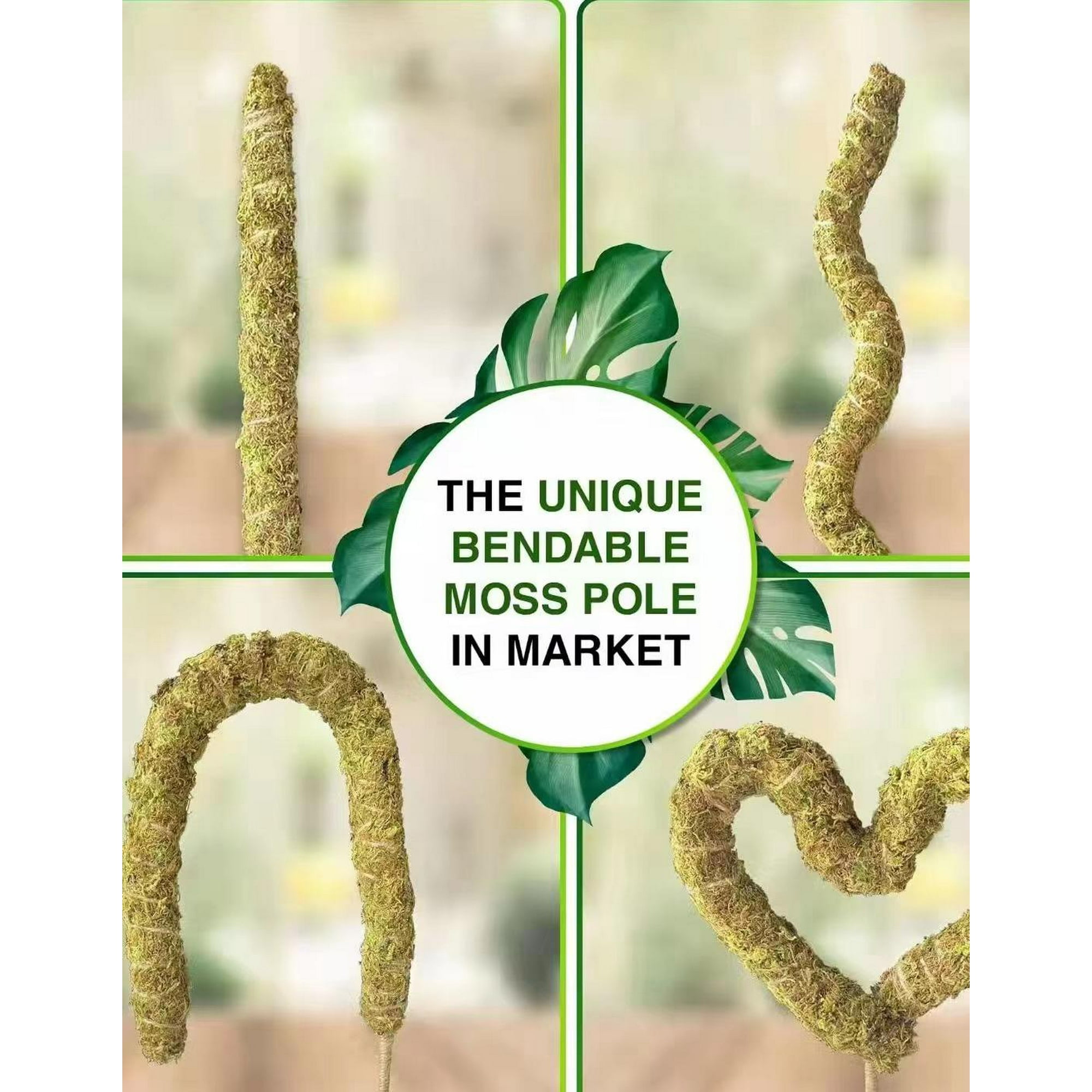 Click here for Crtynell Plant 1pcs Real Moss Pole For Monstera Be... prices