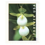 Wild Orchid Wild Orchids 20 USPS First Class Forever Postage Stamps for ...