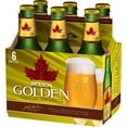 Molson Golden Beer, 6 Pack, 12 fl oz Glass Bottles, 5% ABV - Walmart.com