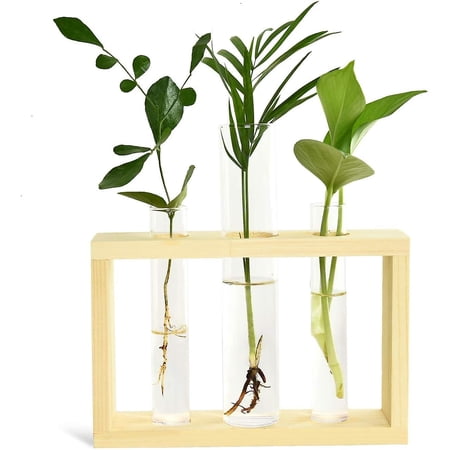 Test Tube Planter Plant Propagation Station Glass Terrarium Test Tube ...