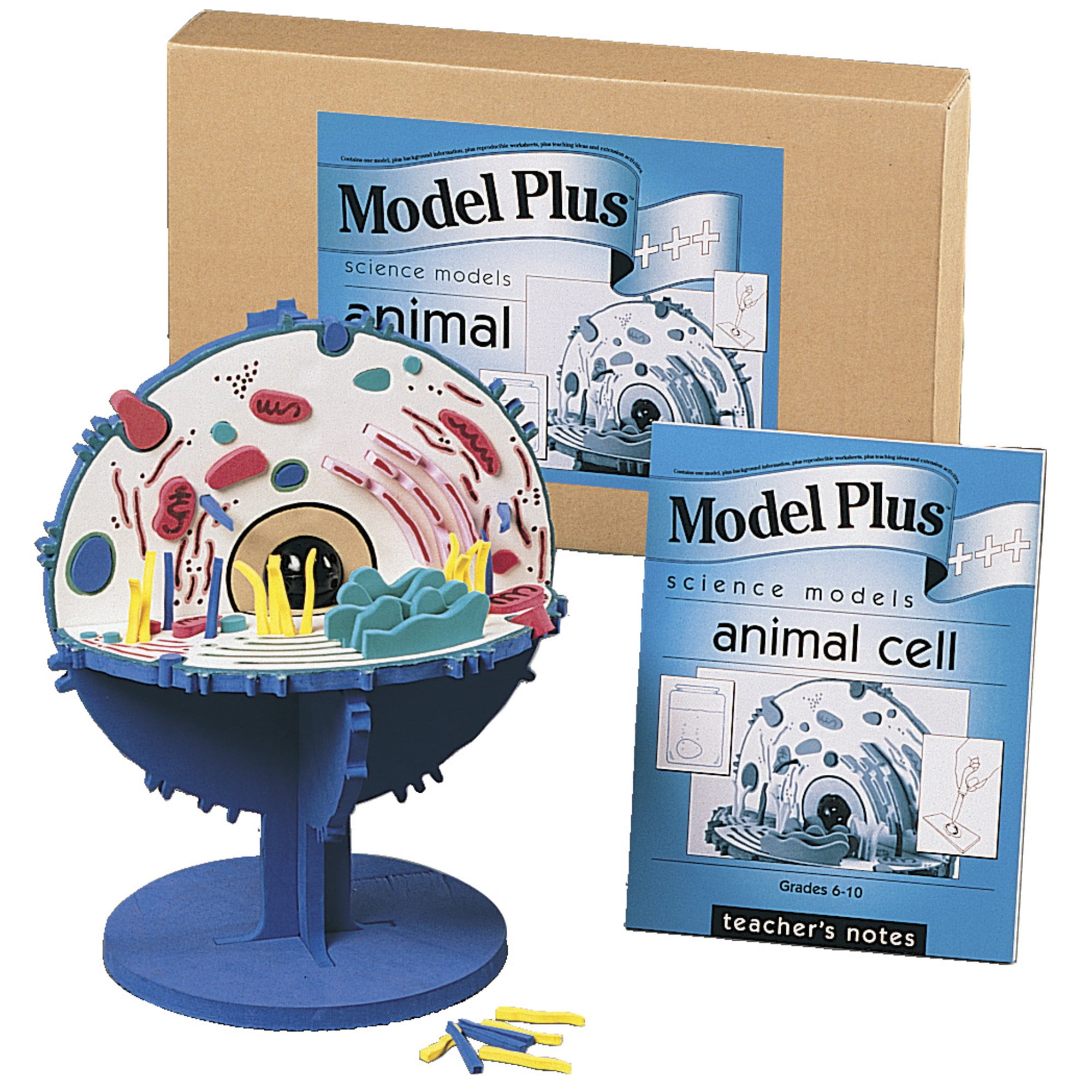 3d Animal Cell Model Styrofoam