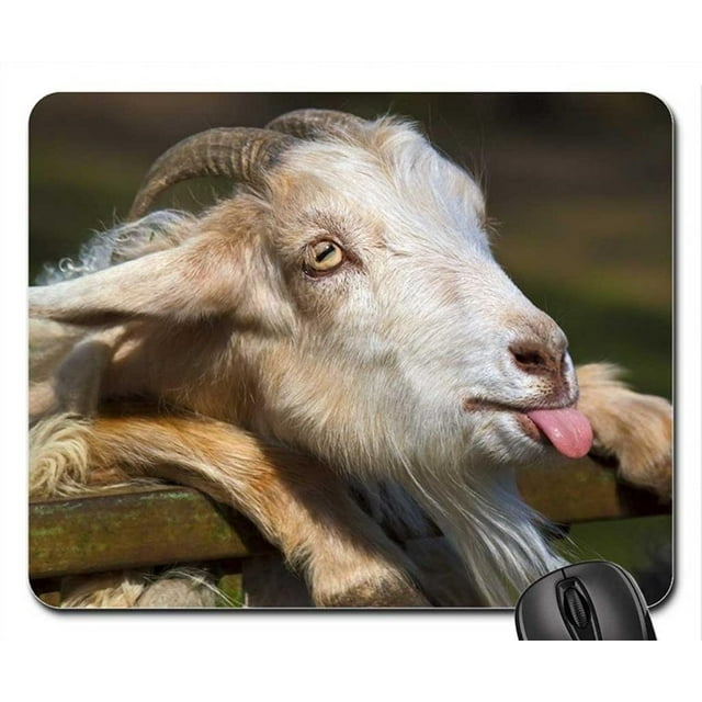 POPCreation Goat Mouse pads Gaming Mouse Pad 9.84x7.87 inches - Walmart.com