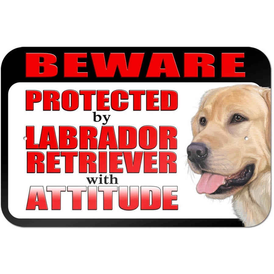 Beware Protected by Labrador Retriever with Attitude - Yellow Lab Sign ...