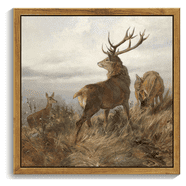 Lund, Denton 19x24 White Modern Wood Framed Museum Art Print Titled ...