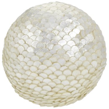 Jumbo Large Horse Conch Decorative Shell Seashell 12-14" - Walmart.com