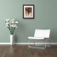 Trademark Fine Art "Vertigus" Canvas Art by Edgar Barrios, Wood Frame ...