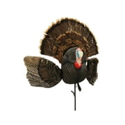 Mojo Turkey