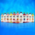 Bai Antioxidant Infused Water Beverage, Puna Coconut Pineapple Flavor ...