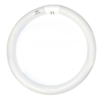 Lithonia 2CT6 4-Pin Replacement Circline Light Bulb - Walmart.com