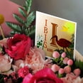 3drose, Decorative Animal Alphabet Art for Children - I Is for an Ibis ...