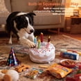 Dog Birthday Squeaky Toy 3-Pack | Indestructible Plush Interactive Chew ...