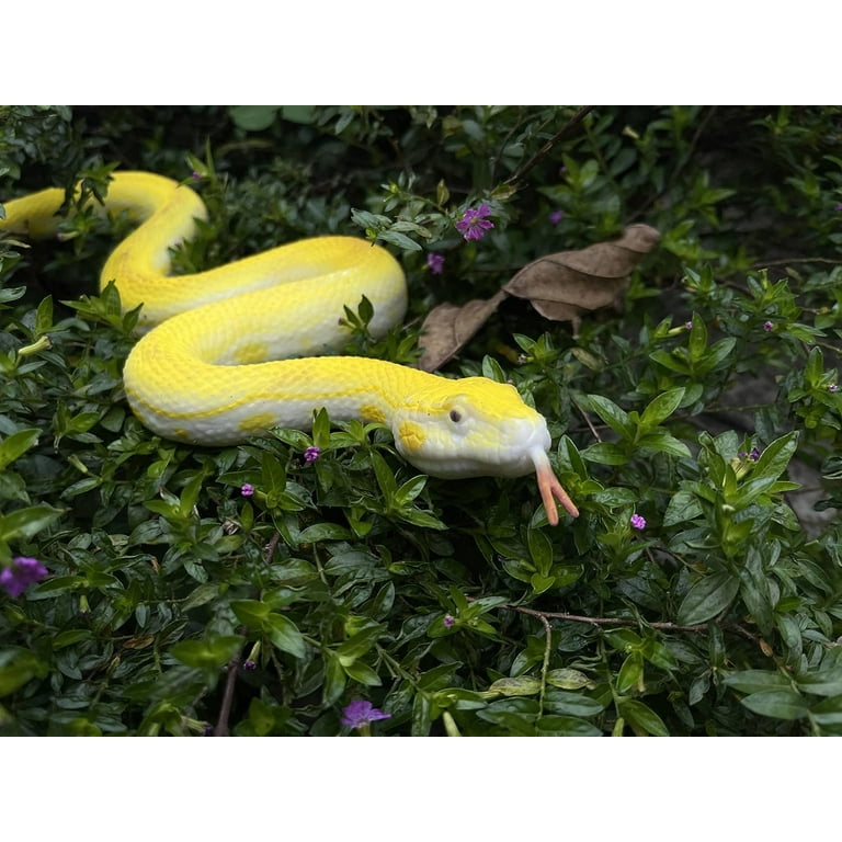 Prank Stuff Rubber Snakes Rattlesnake - Realistic Keep Birds Away ...