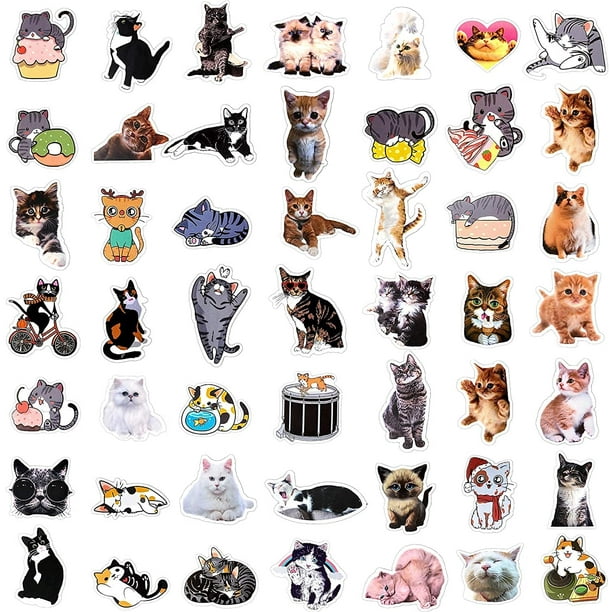 50 pegatinas de plástico para gatos (gato 50 piezas). MFZFUKR XMWJ250 ...