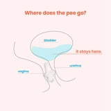 Uresta Incontinence Bladder Support for Women - Stop Leaks, Easy ...