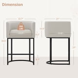 Dycanpo 27" H Modern Bar Stools Set of 2 with Back and Arms, for Home ...