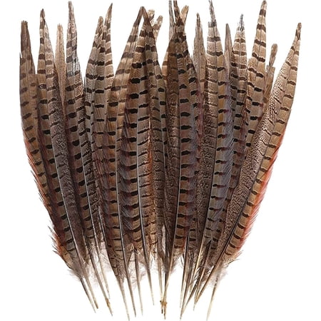 30 Pcs Natural Pheasant Feathers,DIY Pheasant Tails Feather,15-28 cm ...