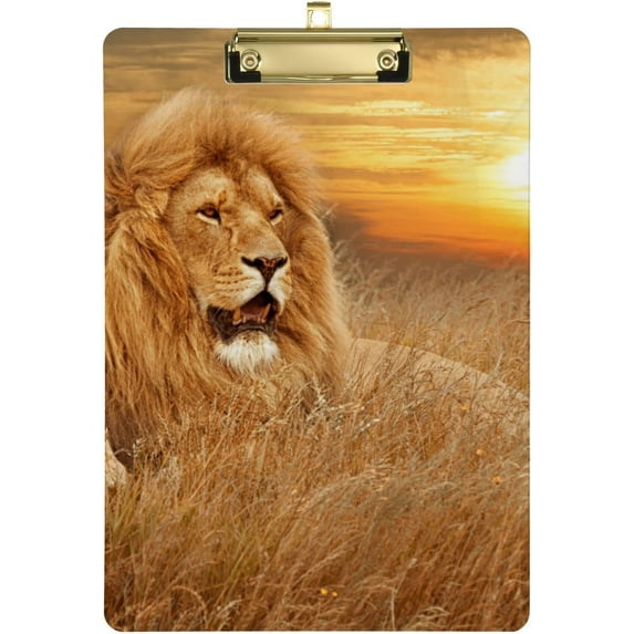 FMSHPON Lions Clipboard Hardboard Wood Nursing Clip Board and Pull for ...