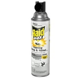 Raid Max Foaming Wasp & Hornet Killer, 13 oz - Walmart.com