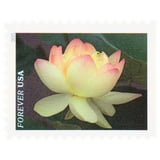 Garden Beauty Forever USPS Postage Stamps, Book of 20, First Class ...