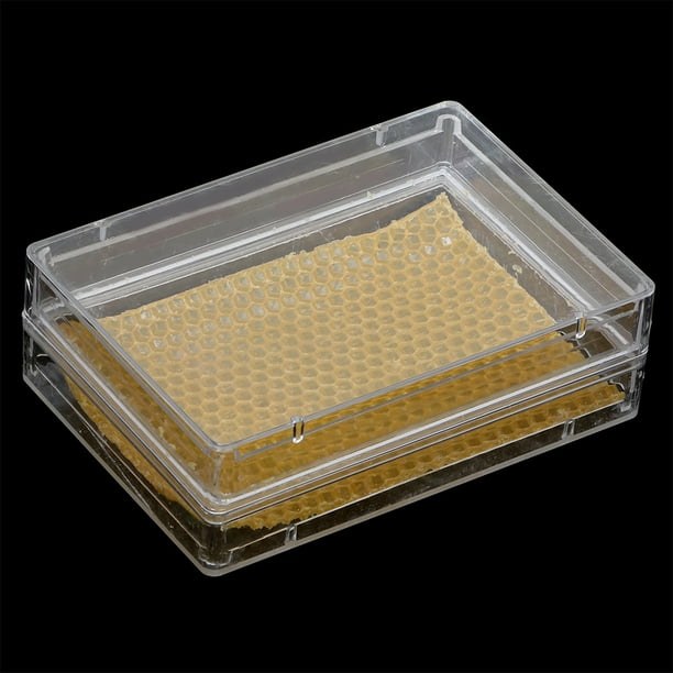 Beehive Box, Honey Box, Rectangular For Beekeeping Beekeeper - Walmart.ca