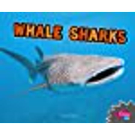 Whale Sharks (All About Sharks) | Walmart Canada