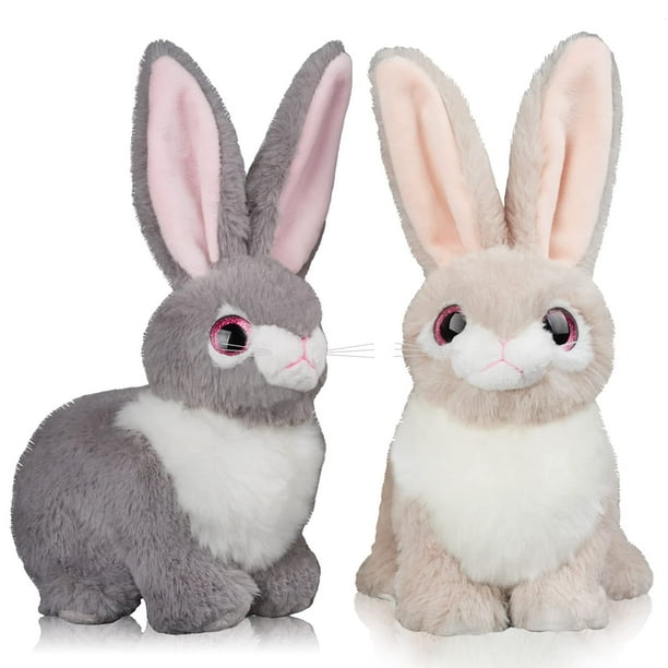 Floppy Ear Rabbits