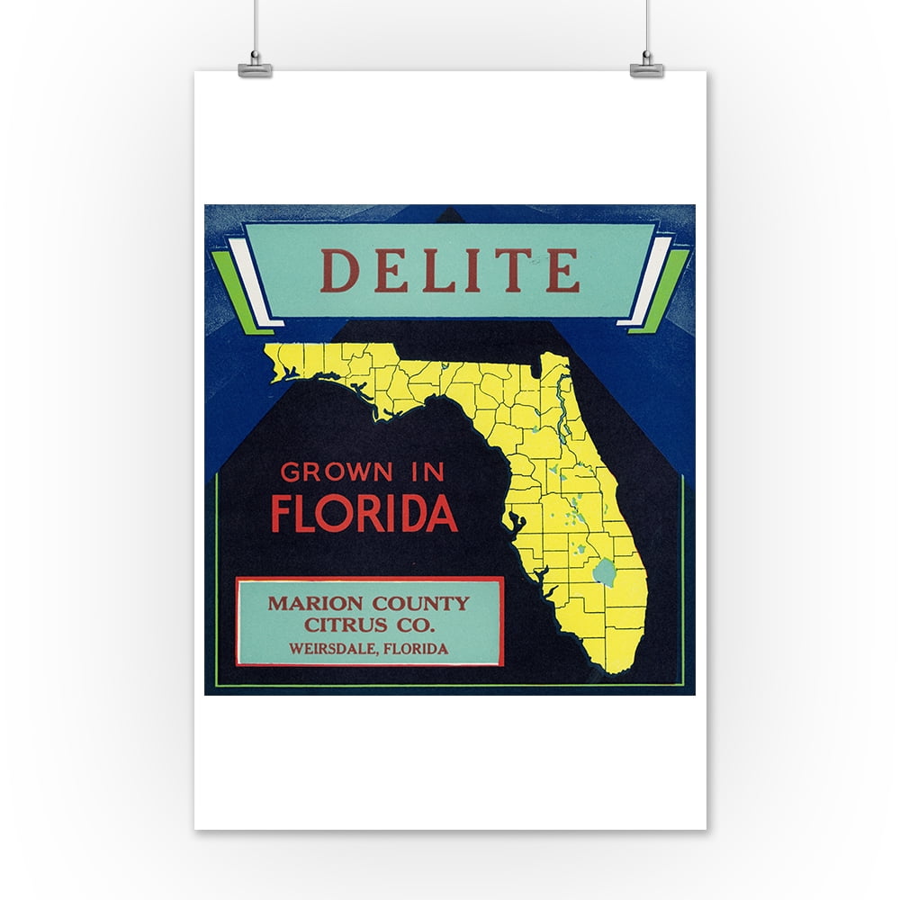 Weirsdale, Florida - Delite Brand Citrus Label (12x18 Art Print, Wall ...