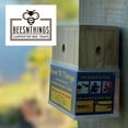 Bees N Things Outdoor Carpenter Bee Trap - Walmart.com