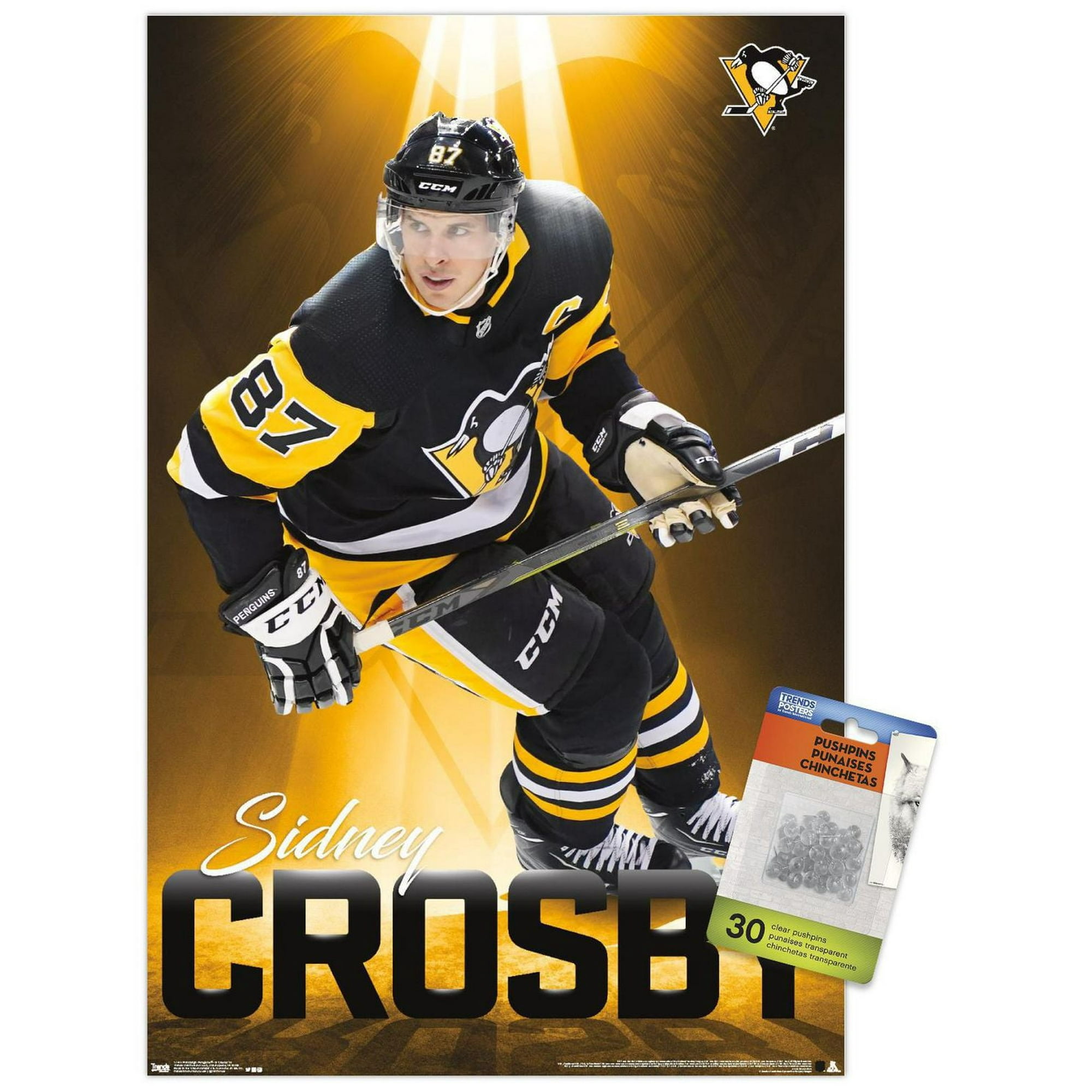 Click here for Trends International Nhl Pittsburgh Penguins - Sid... prices