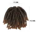 Darling Spring Twist Crochet Hair 2X Pack, 24 inch, #1/30, Adult, Women ...