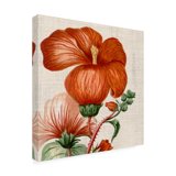 Trademark Fine Art 'Cropped Turpin Tropicals VIII' Canvas Art by Vision ...